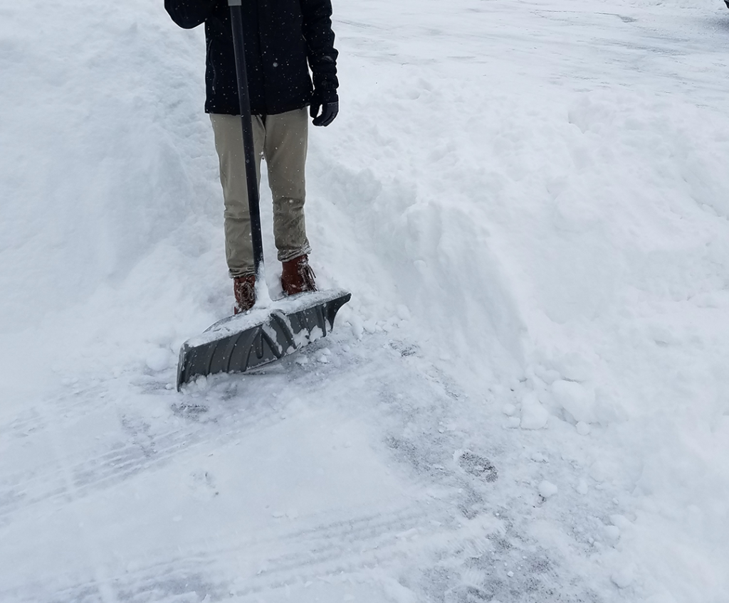Protecting Your Yard from Deicing Salt - Organic Lawns by Lunseth